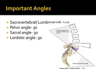 SACROILIAC JOINT- assessment.pptx