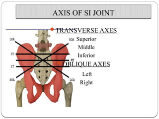 Sacroiliac joint biomechanics, dysfunctions, assessment and its manual ...