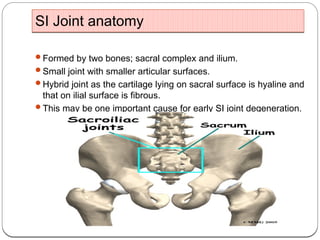 Sacroiliac Joint Surface Anatomy