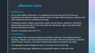 Iliopsoas Muscles And Quadratus Lumborum John The Bodyman Abdominal ...