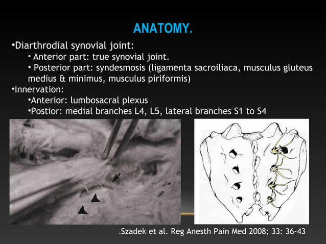 Sacroiliac Joint | PPT