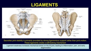 Sacroiliac Joint Pain: Clinical Diagnosis, Provocation Tests, and SI ...