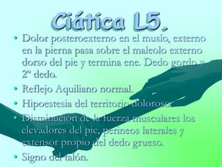 sacrolulmbalgia..ppt