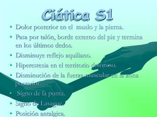 sacrolulmbalgia..ppt