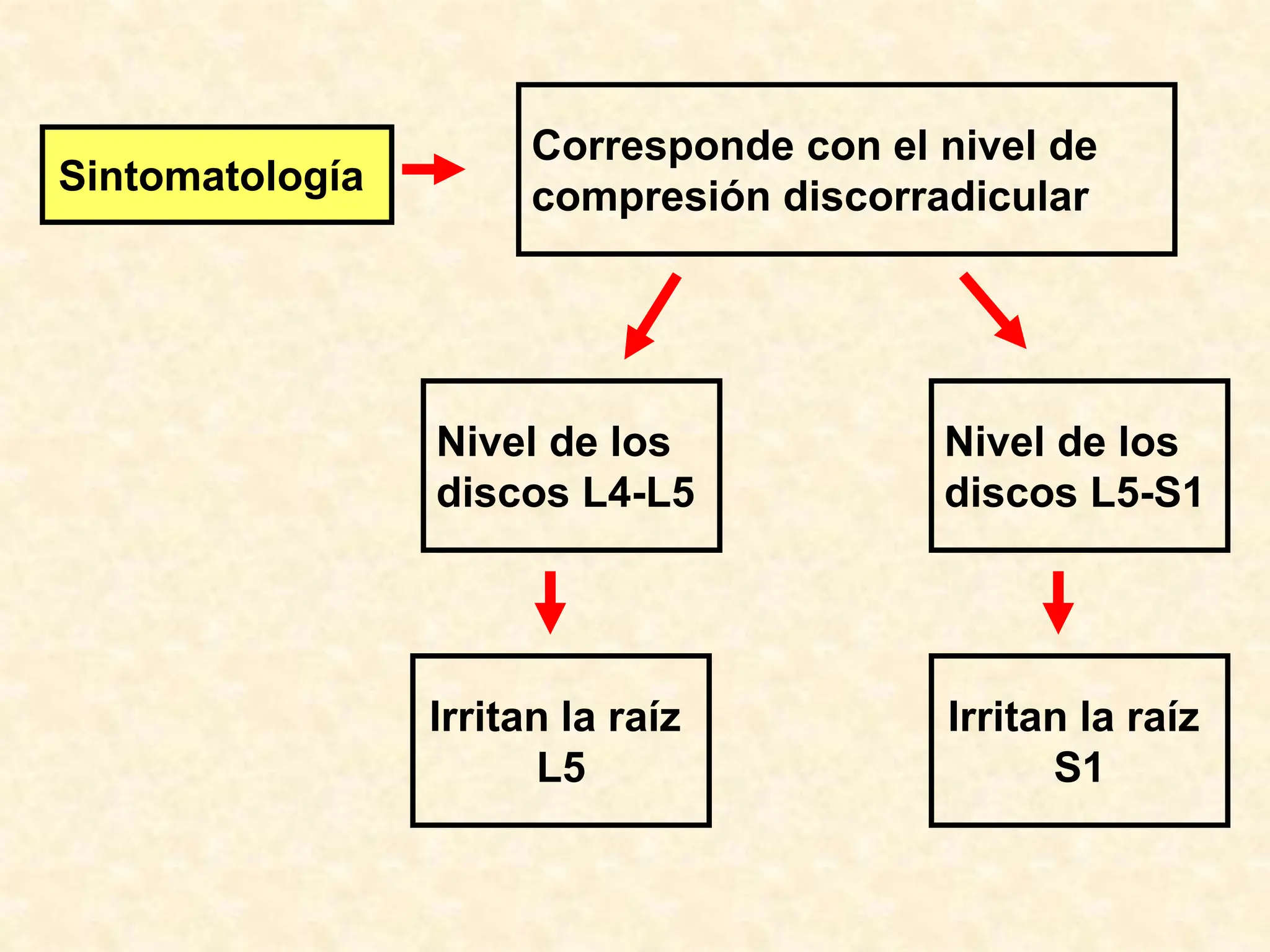sacrolumbalgia.ppt