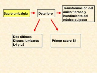 sacrolumbalgia.ppt