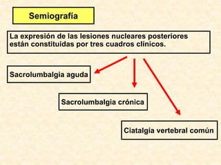 sacrolumbalgia.ppt