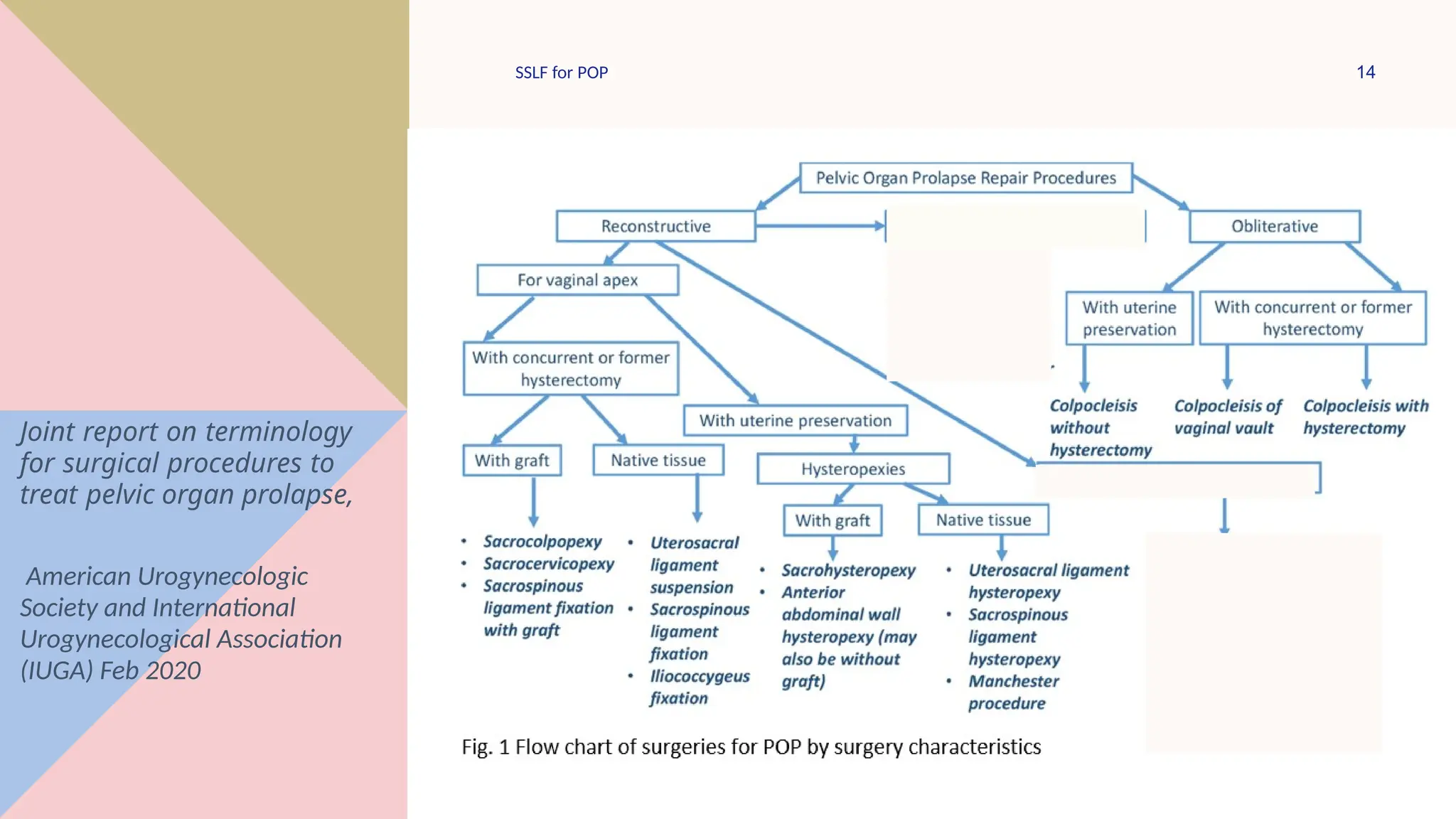 Sacrospinous Ligament Fixation for Pelvic Organ Prolapse - Latest ...