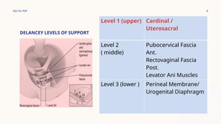Sacrospinous Ligament Fixation for Pelvic Organ Prolapse - Latest ...