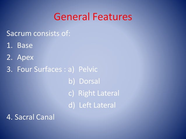 Sacrum | PPTX | Pregnancy | Reproductive Health
