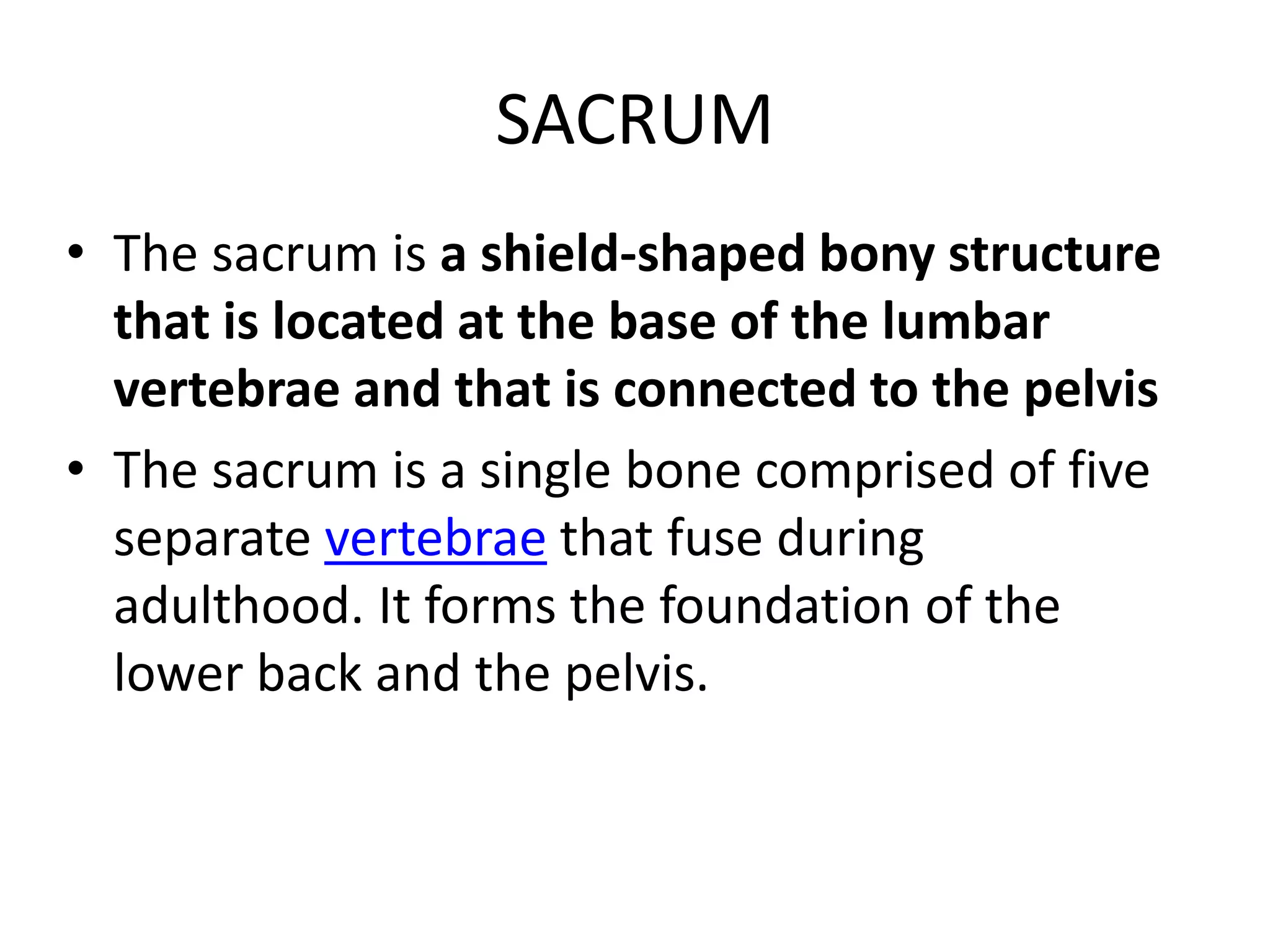 SACRUM ANATOMY.pptx