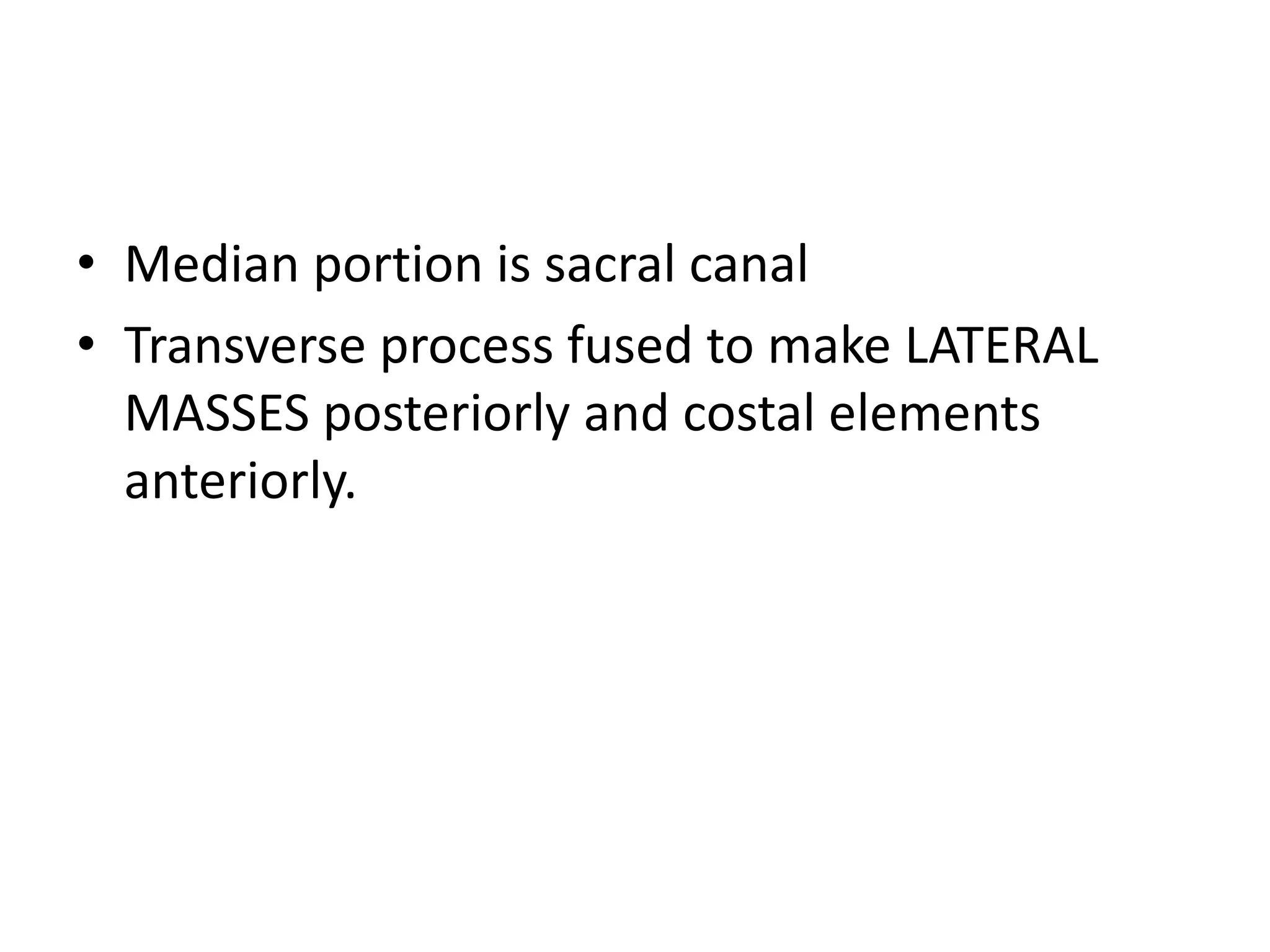 SACRUM ANATOMY.pptx