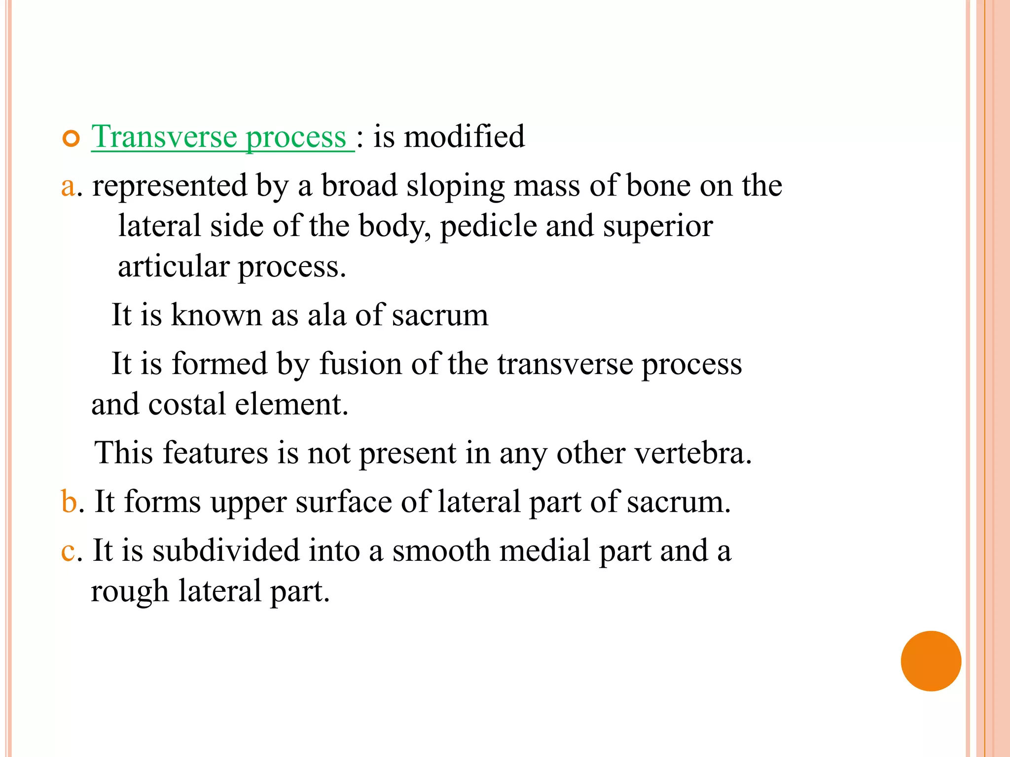 Sacrum ppt 2 | PPTX