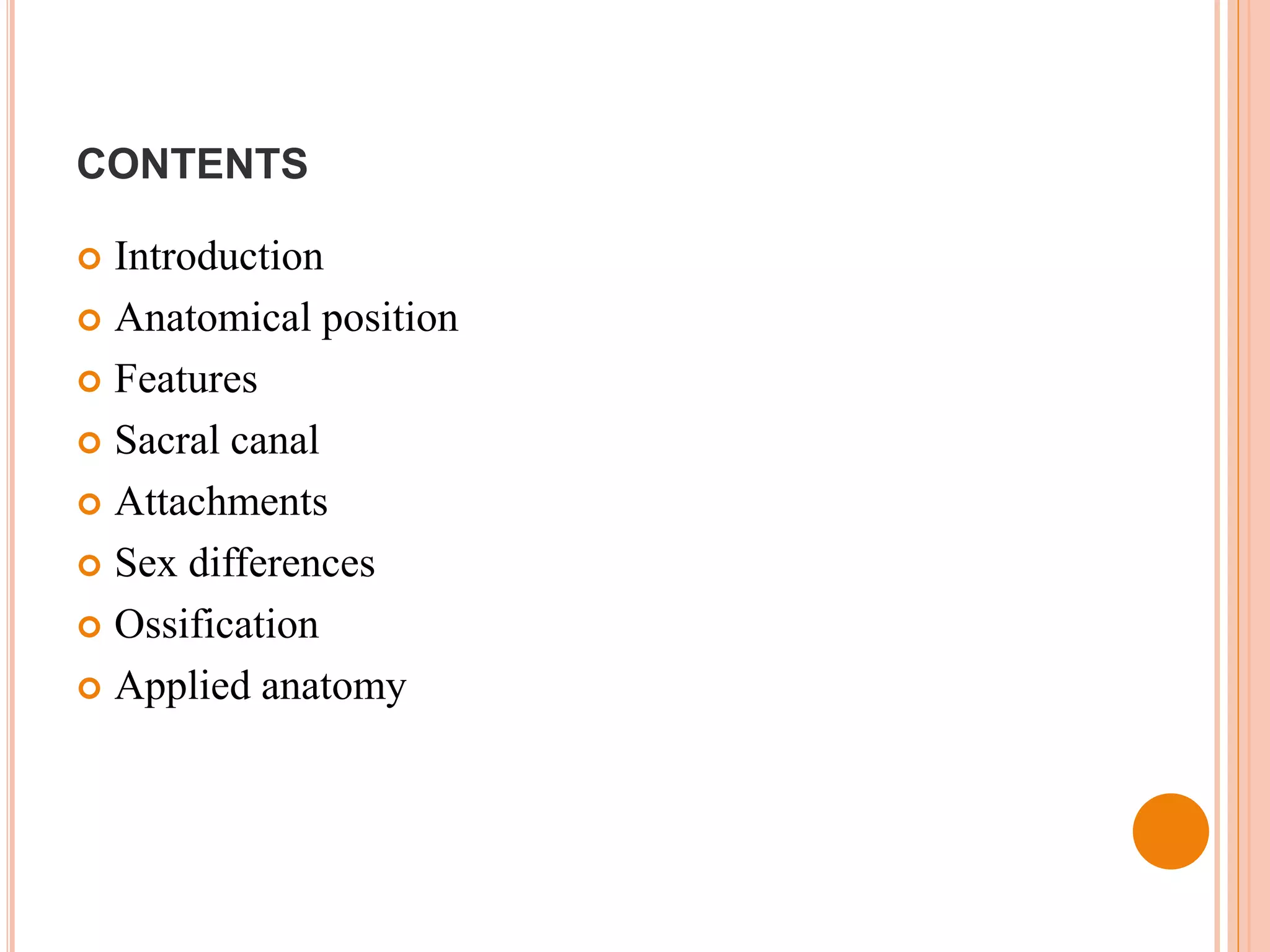 Sacrum ppt 2 | PPTX