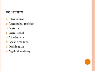 Sacrum ppt 2 | PPTX
