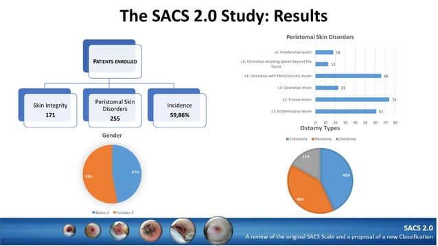 Sacs 2.0 a review of the original sacs scale WUWHS Florence 29.09.2016