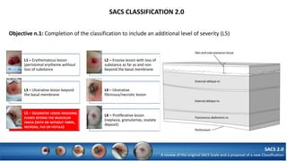 Sacs 2.0 a review of the original sacs scale WUWHS Florence 29.09.2016