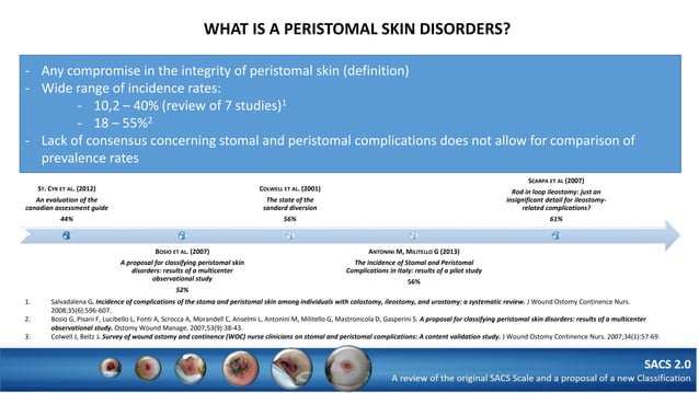 Sacs 2.0 a review of the original sacs scale WUWHS Florence 29.09.2016