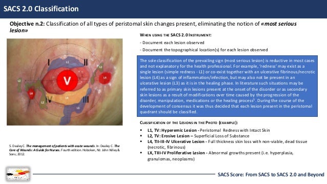 Sacs score from sacs to sacs 2.0 and beyond oral presentation_mario a…
