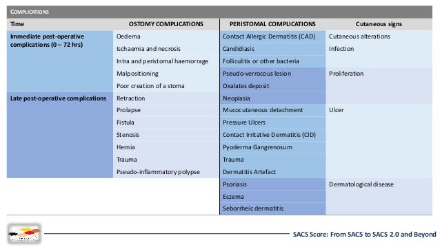 Sacs score from sacs to sacs 2.0 and beyond oral presentation_mario a…