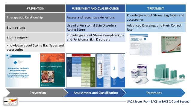 Sacs score from sacs to sacs 2.0 and beyond oral presentation_mario a…