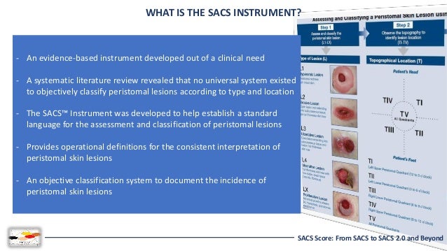 Sacs score from sacs to sacs 2.0 and beyond oral presentation_mario a…