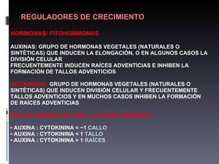 cultivos invitro de plantas | PPT