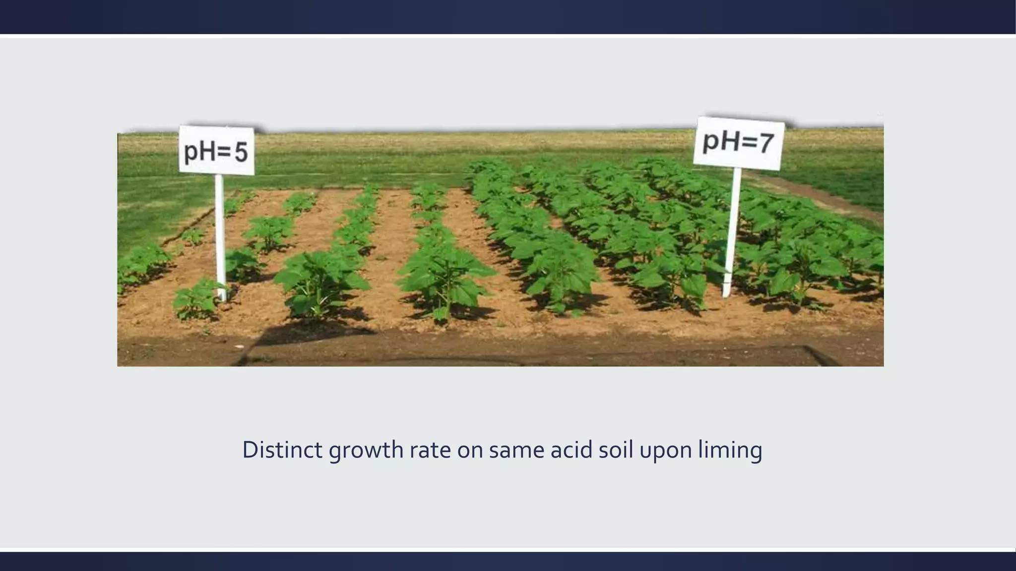 LIME REQUIREMENT AND LIMING MATERIALS FOR ACIDIC SOIL | PPTX