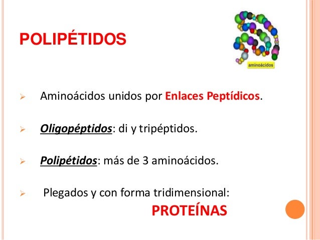 LAS PROTEÍNAS