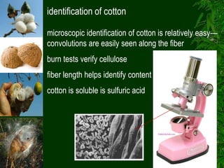 Cotton Fibers | PPT