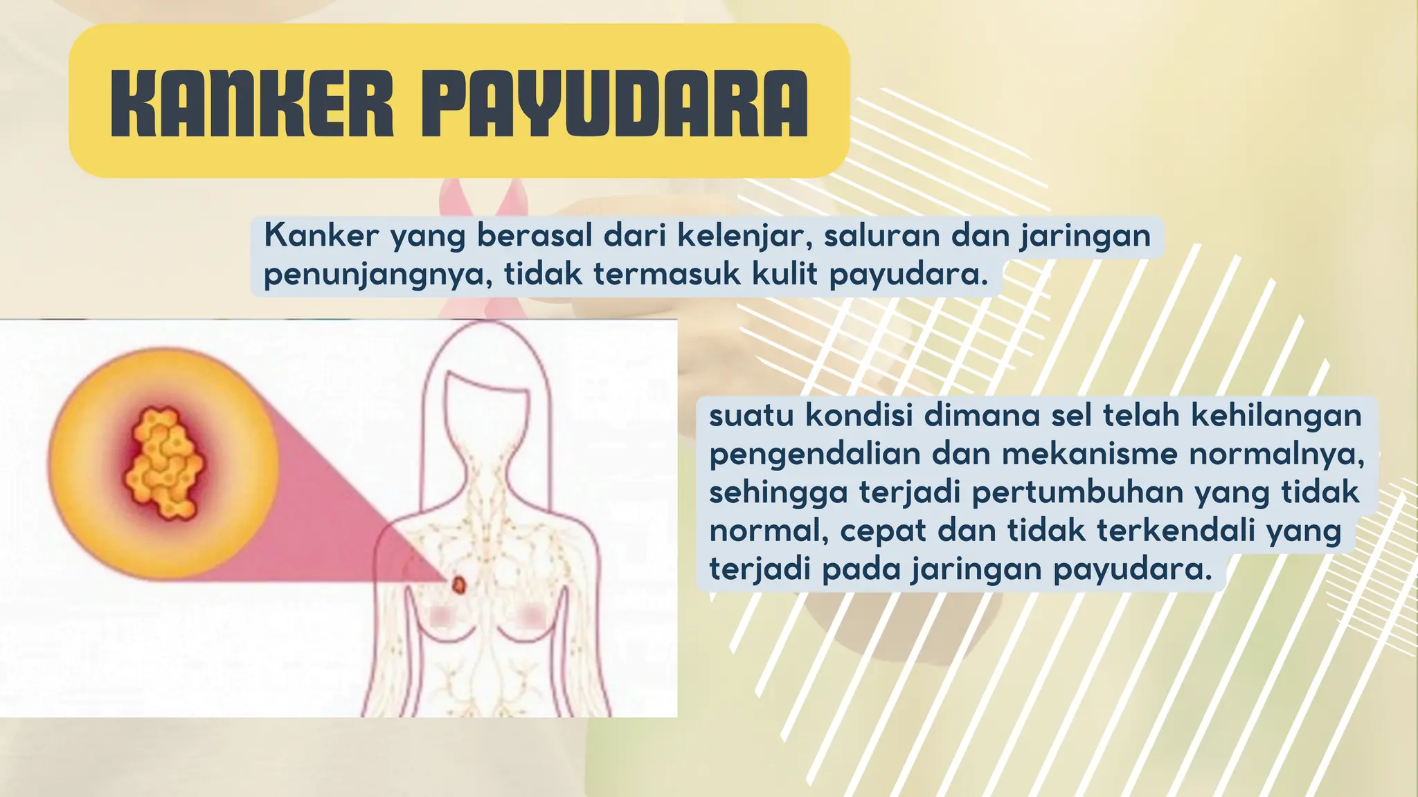 Pemeriksaan Payudara Sendiri (Sadari) PPT.pdf