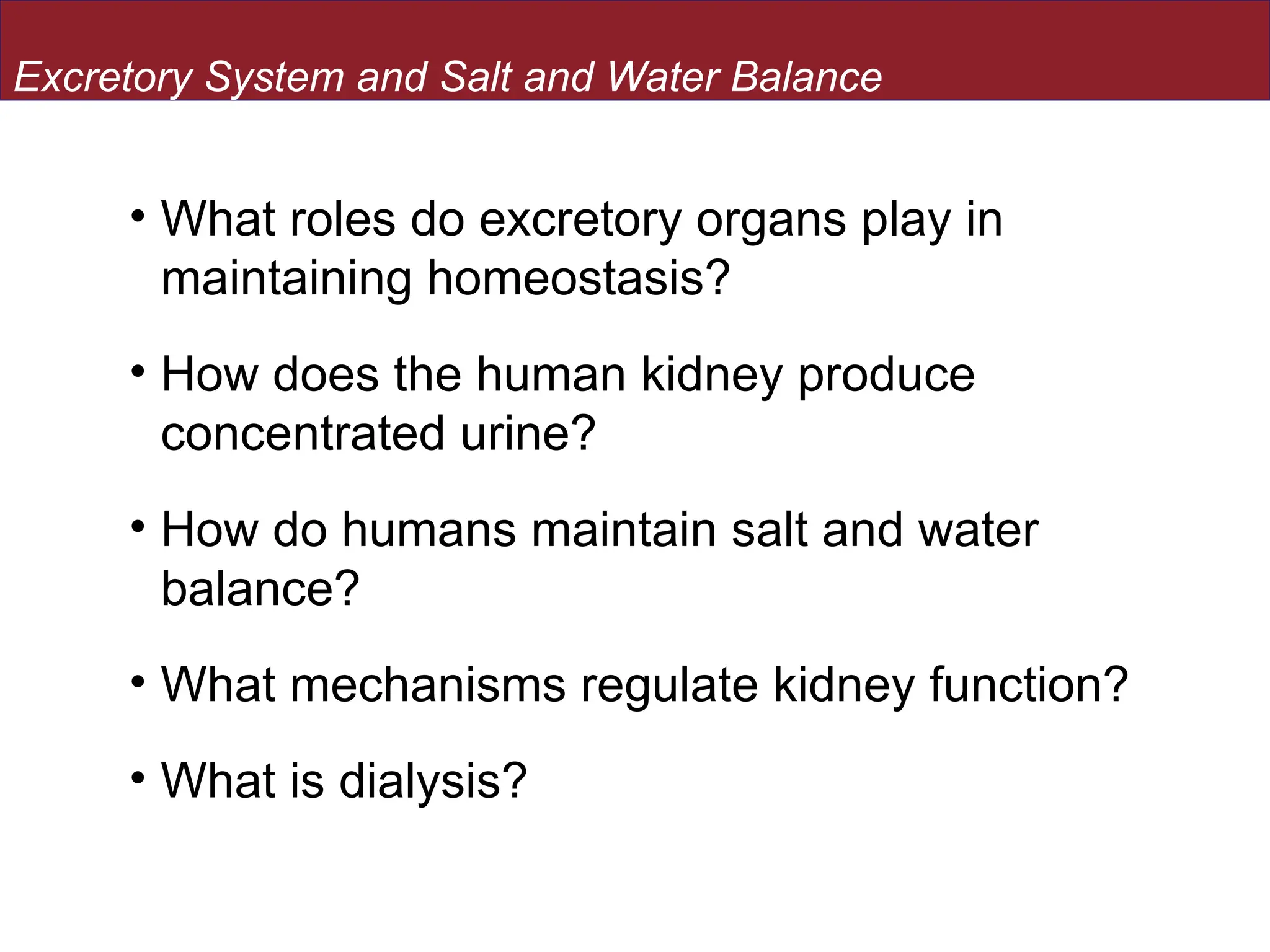 Anatomy of Excretory system Of human body | PPT