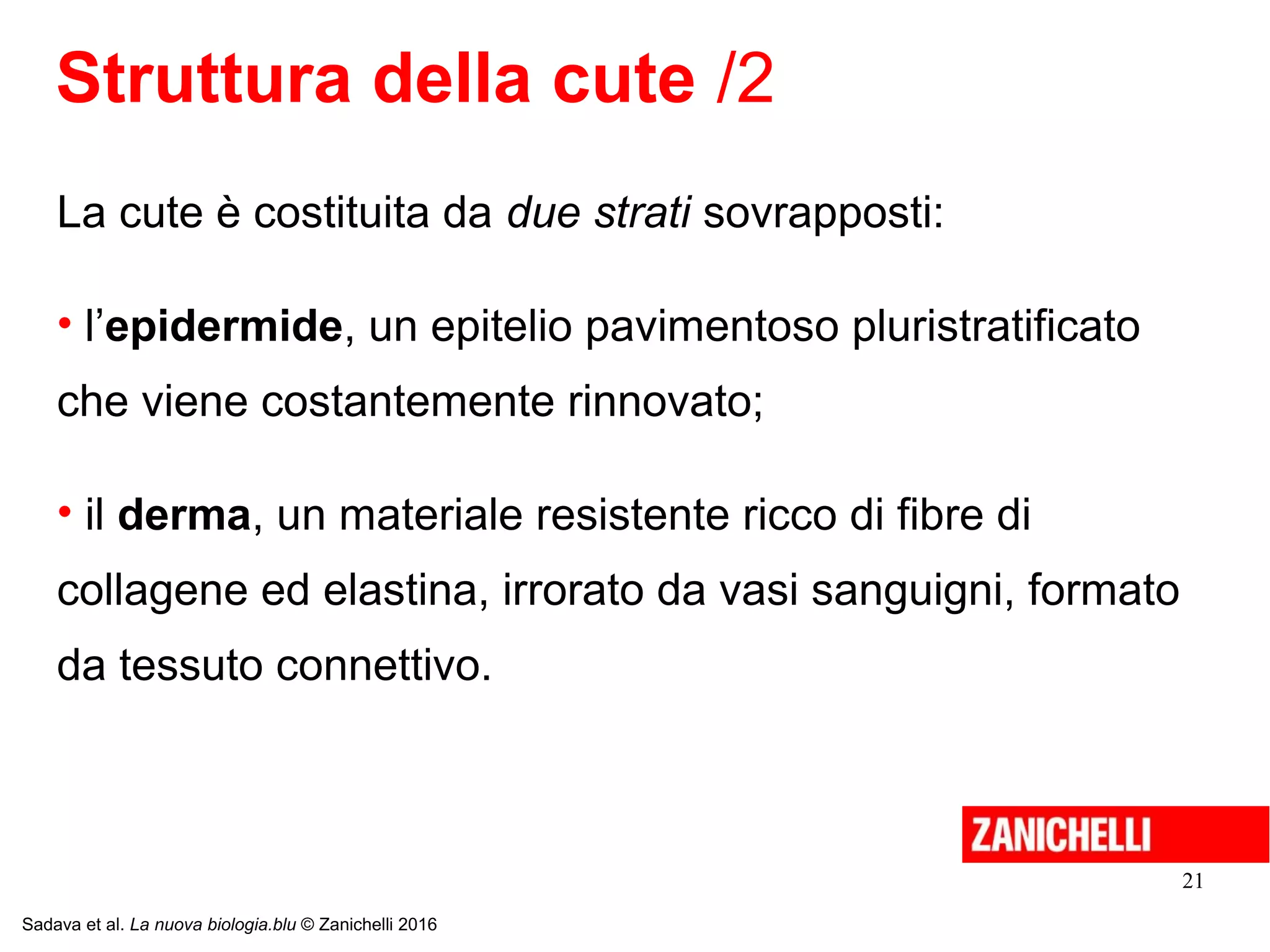 Sadava nuova biologiablu_plus_capc1 | PPT