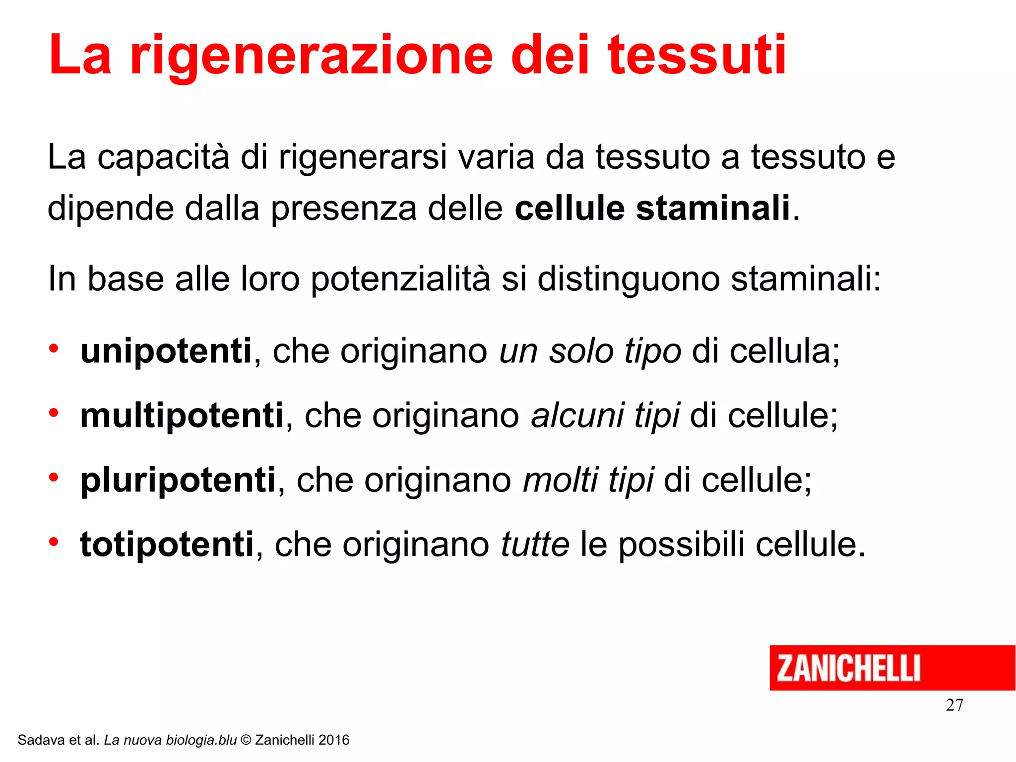 Sadava nuova biologiablu_plus_capc1 | PPT