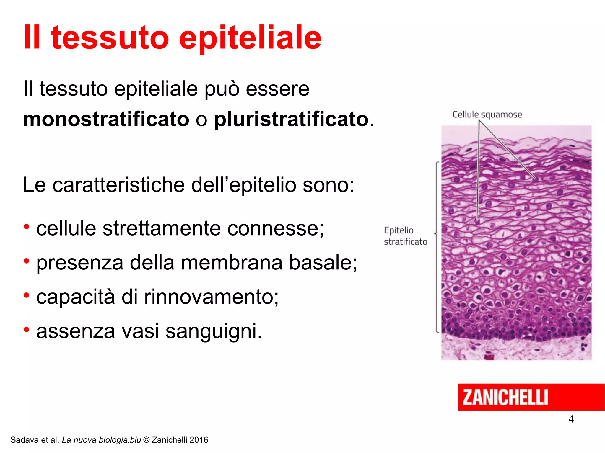 Sadava nuova biologiablu_plus_capc1 | PPT