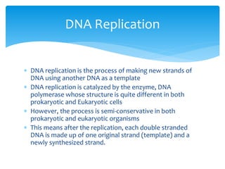 Sadeeqsheshe the central dogma of molecular biology | PPTX