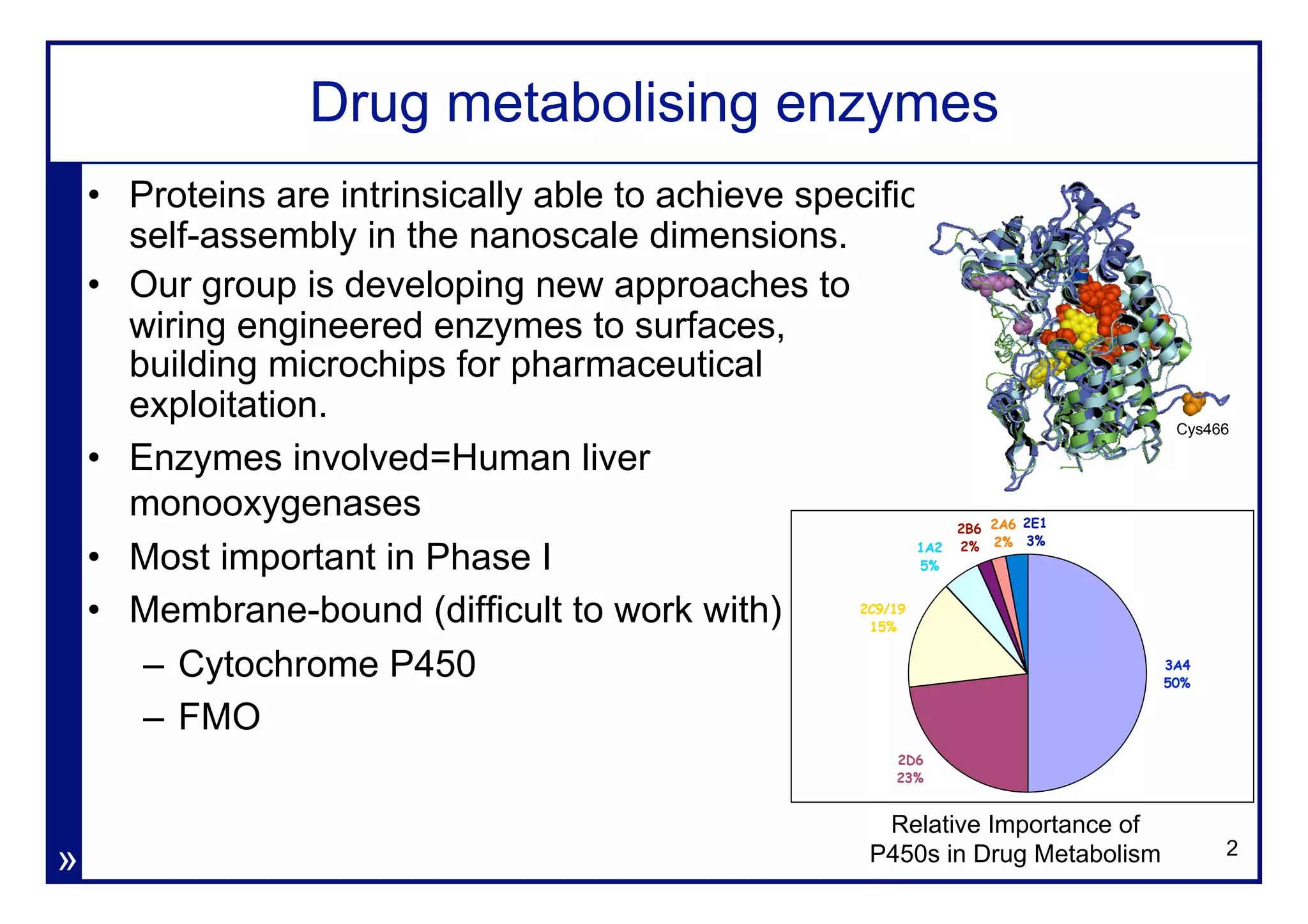 Enzyme assemblies for nanotechnology applied to drug metabolism | PDF