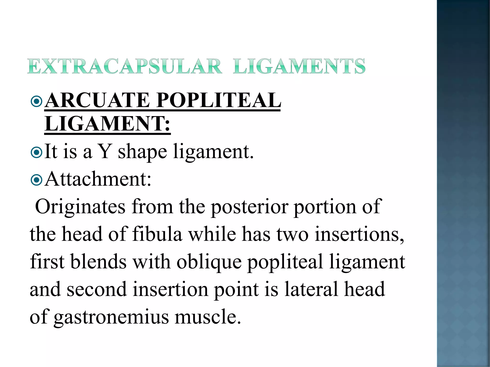 ligaments of the knee joint | PDF