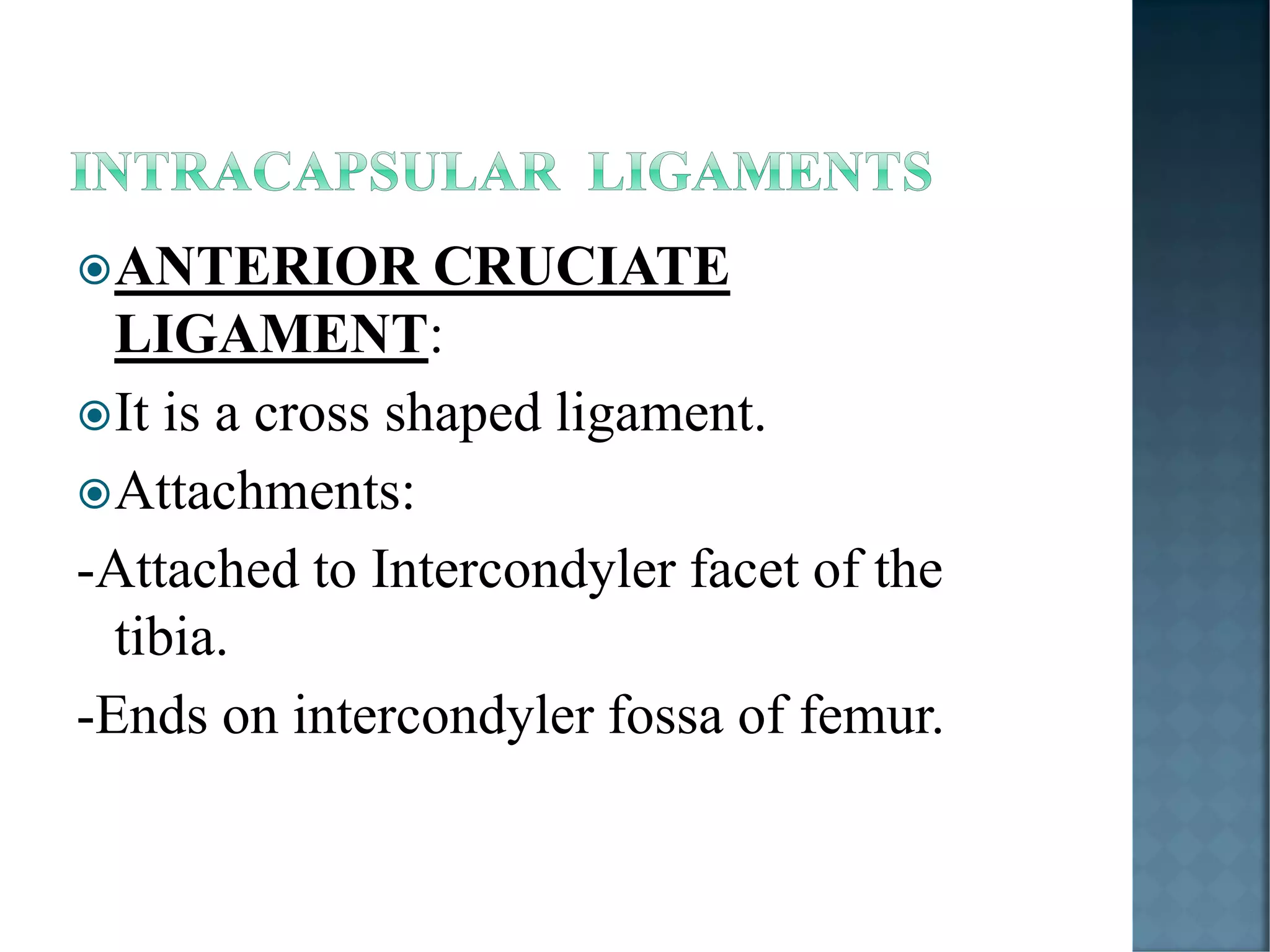 ligaments of the knee joint | PDF