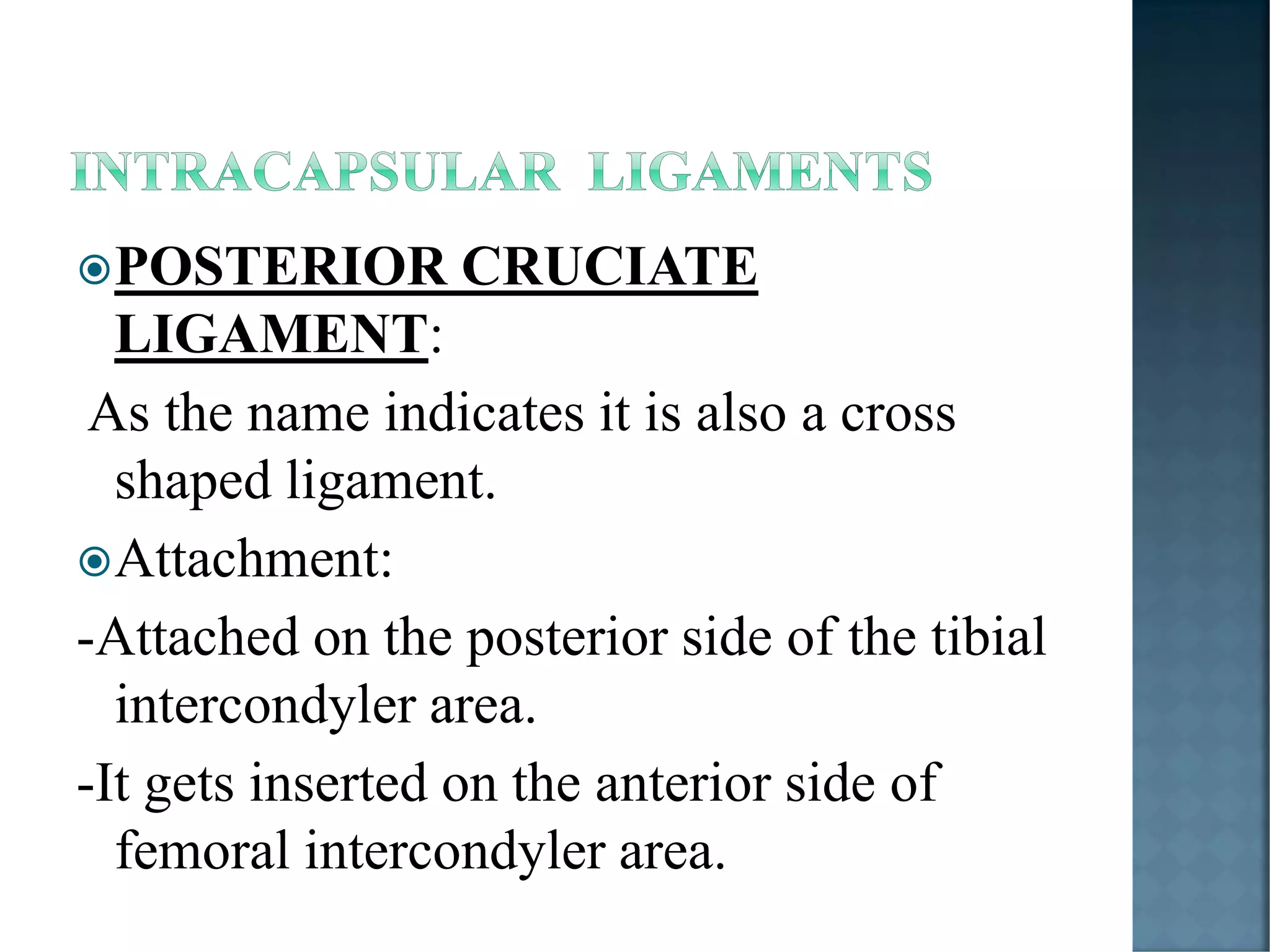 ligaments of the knee joint | PDF