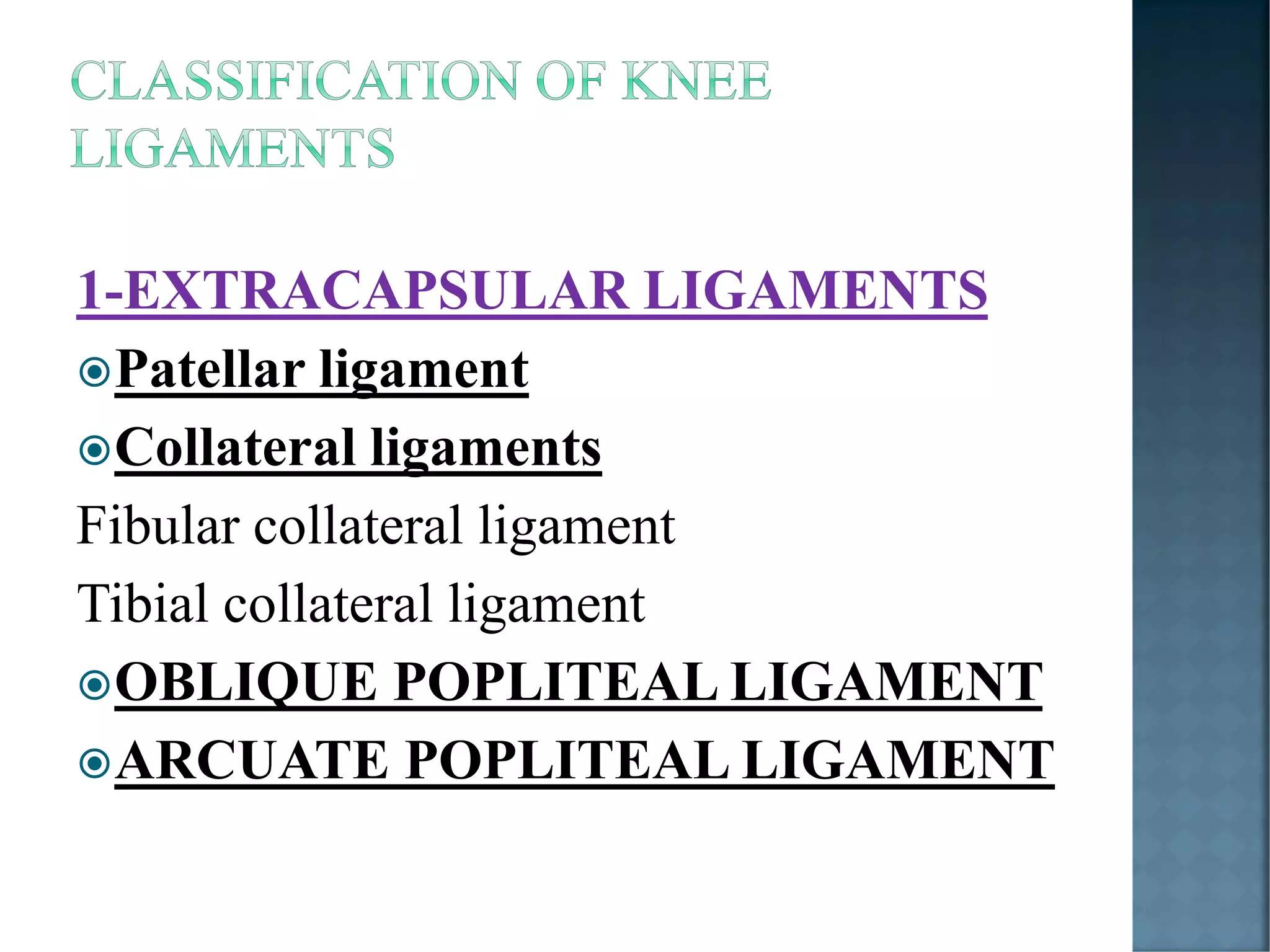 ligaments of the knee joint | PDF