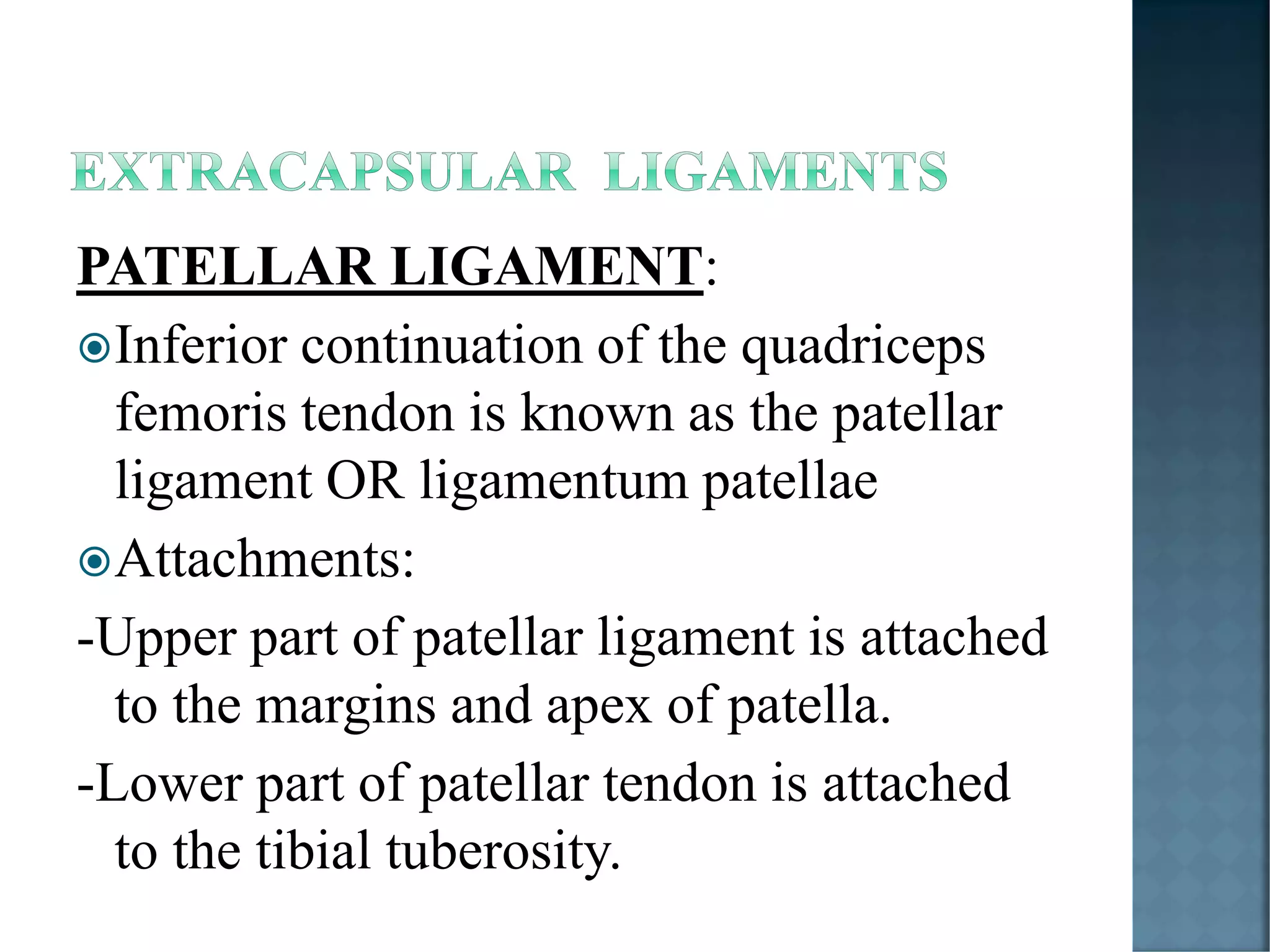 ligaments of the knee joint | PDF