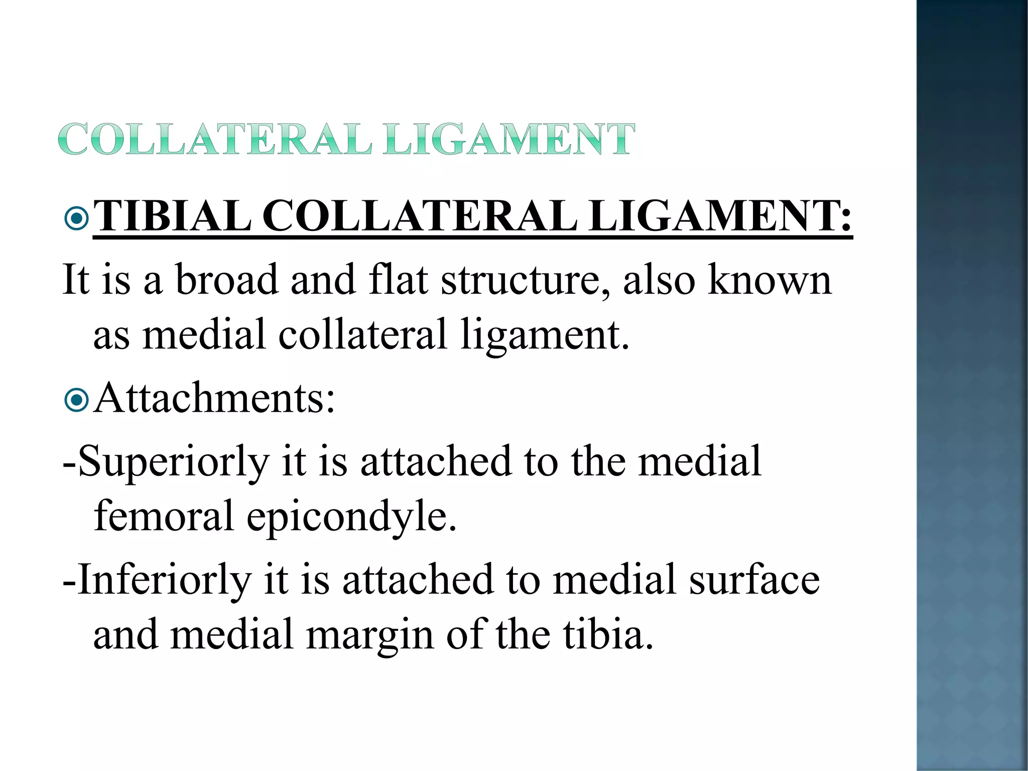 ligaments of the knee joint | PDF