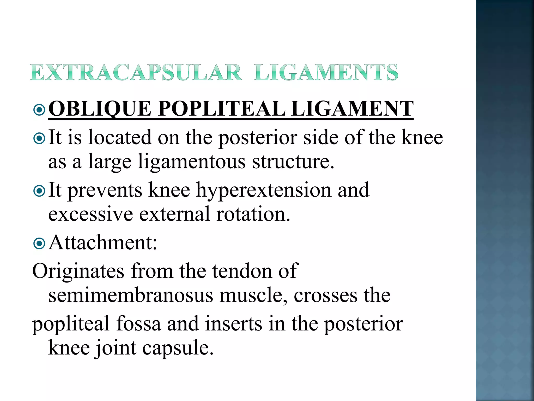 ligaments of the knee joint | PDF