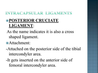 ligaments of the knee joint | PDF