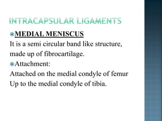 ligaments of the knee joint | PDF