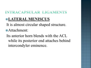 ligaments of the knee joint | PDF