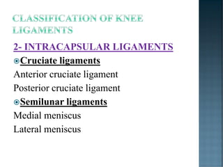 ligaments of the knee joint | PDF