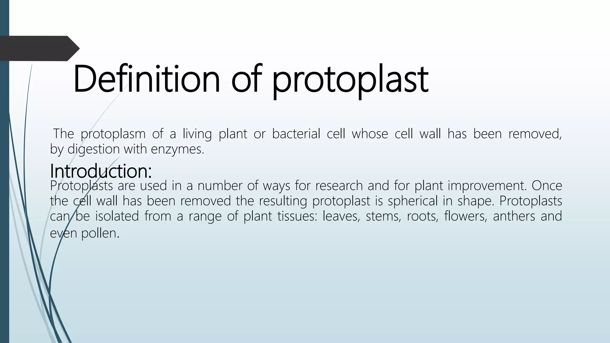 Isolation of protoplast in plant tissue culture. | PPTX