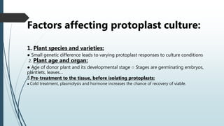 Isolation of protoplast in plant tissue culture. | PPTX